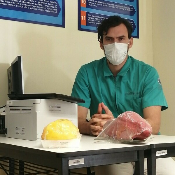 Alejandro - Profe de aprender a comer bien - $43673/h