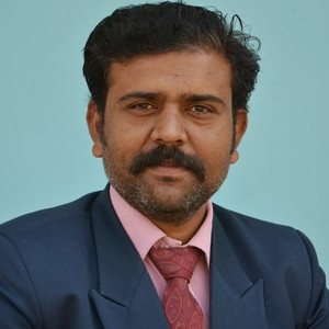 Raj - Computer programming tutor - €14/h