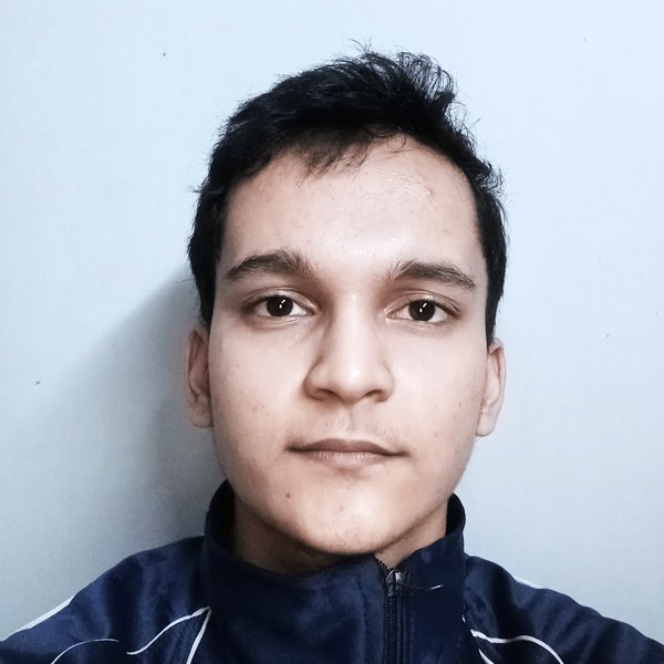 Dhritiraj - Mathematics tutor - 1$/h - 13 reviews