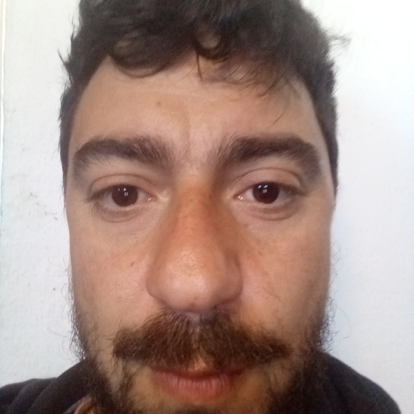 Fausto - Profesor portugués brasileño - $8913/h