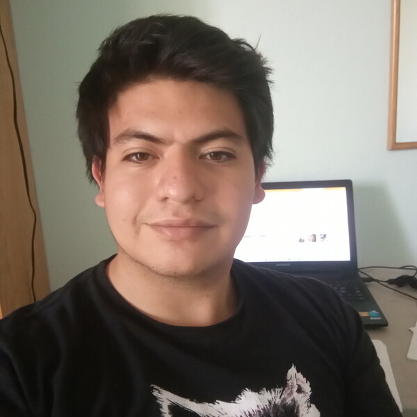 Luis Fernando - Profesor de matemáticas en Guadalajara - $170/h