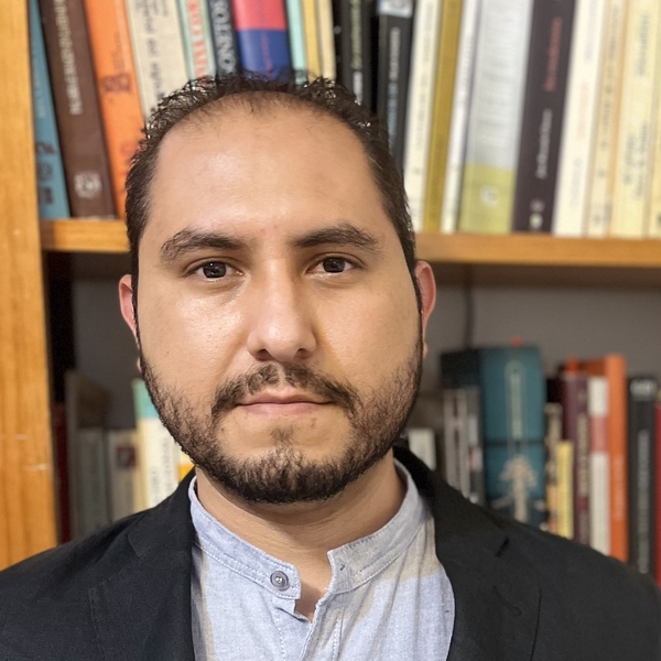 David - Profe de literatura - 8€/h