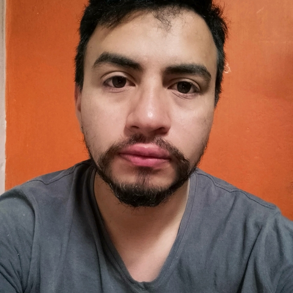 John Manuel - Profesor de dibujo - $19/h