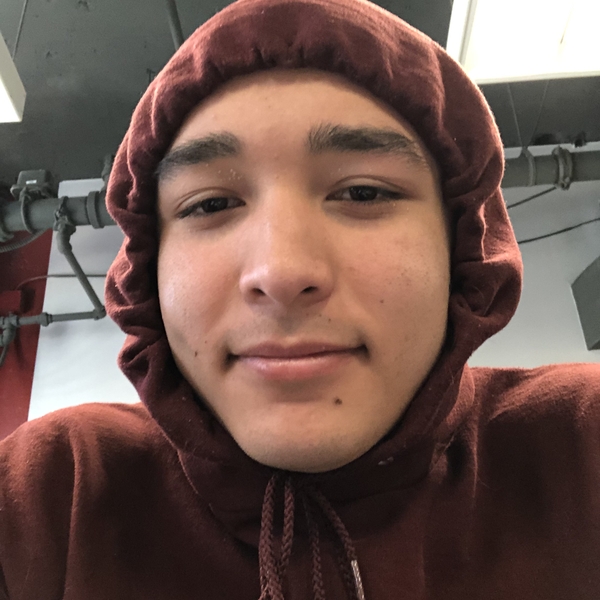 Leo - Maths tutor - $25/h