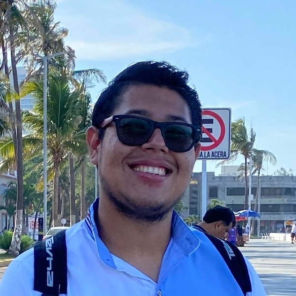 Aleexiis - Profesor de programación en Ángel R. Cabada - $500/h