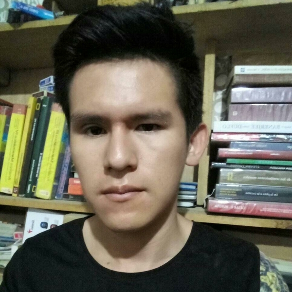 Luis - Profe de matemáticas - 5€/h