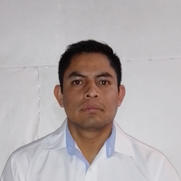 Emmas - profesor de programación - US$5/h