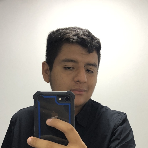 Luis - Magdalena del Mar: Enseñó matemáticas física, trigonometría y ...