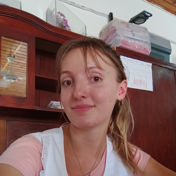 Silva - Profesor de lenguaje y comunicación - $485/h