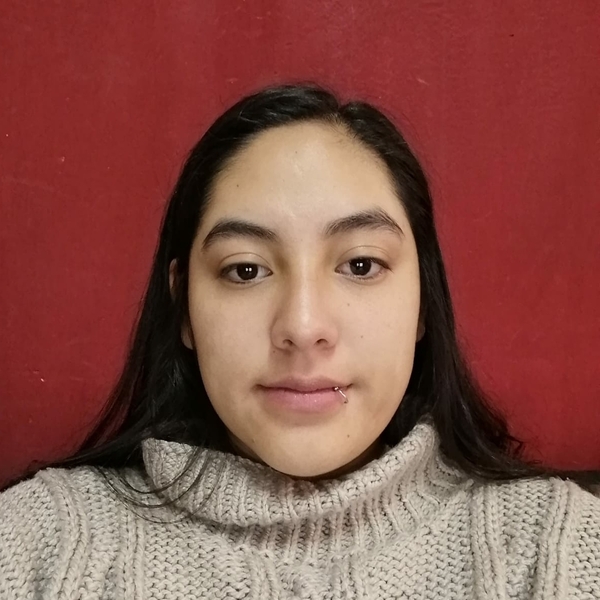 Amanda - Profe de matemáticas en Cusco - S/25/h - 1 opiniones