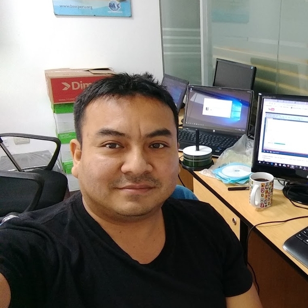 Sonseiya - Profesor de programación - $191/h