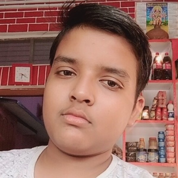 Kiran - Hindi tutor - $10/h