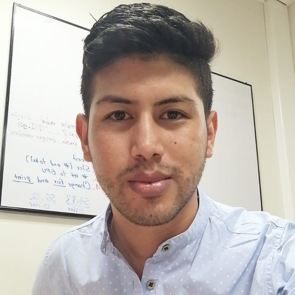 Andres - Profe de matemáticas - 9€/h