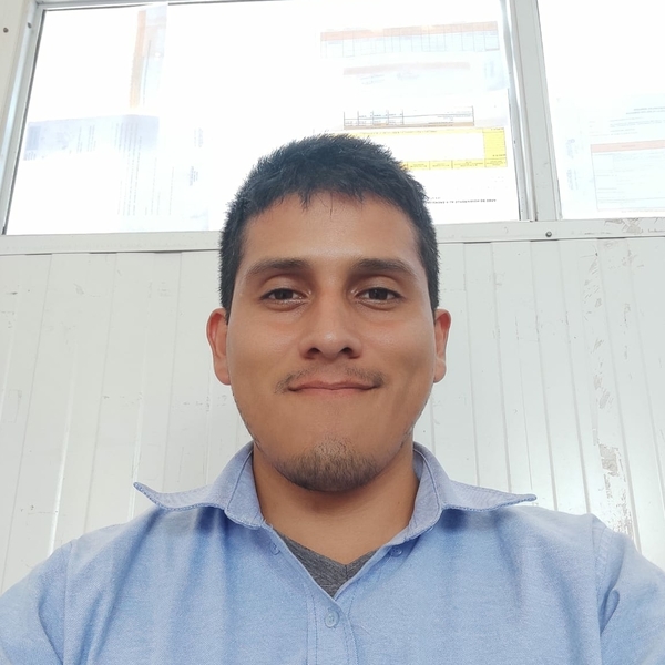 Luis - Profe de matemáticas - 5€/h