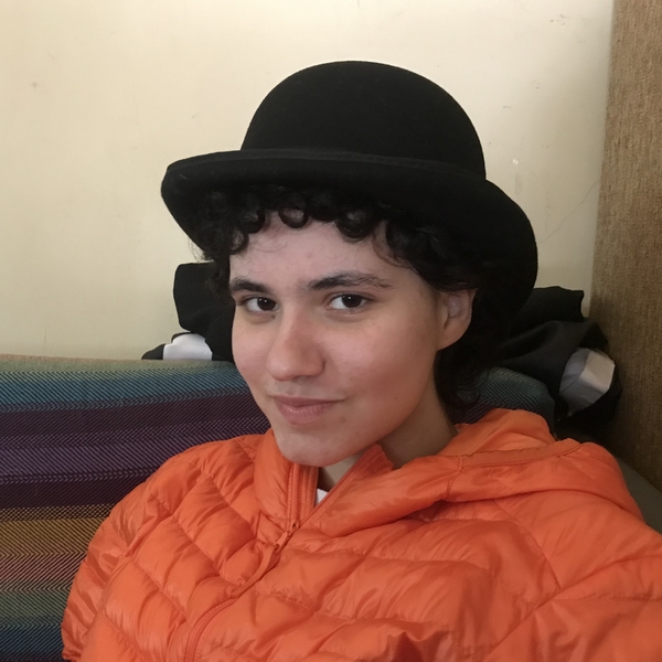 Ananda - Professor de português em São Paulo - R$ 65/h - 1 avaliações