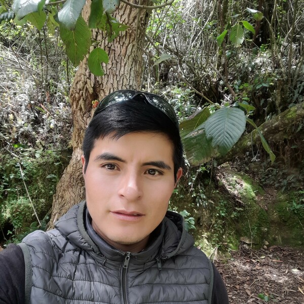 Louis - Profe de matemáticas en Cajamarca - $25/h