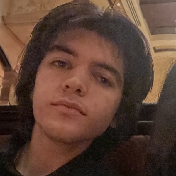 Arman - Maths tutor - 15£/h