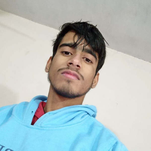 Priyanshu - Maths tutor - 43$/h