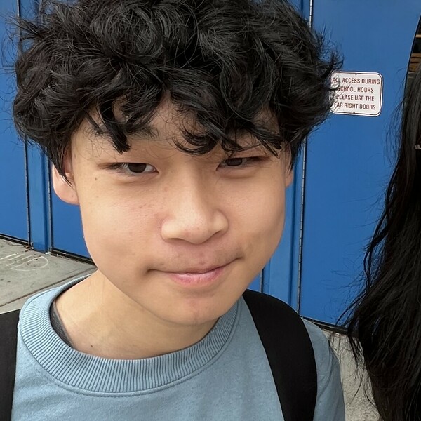 David - Maths tutor - 14£/h