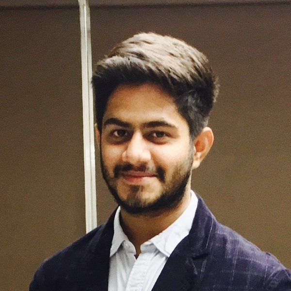 Harsh - Toronto, : A data science professional will teach you Maths, statistics and data analysis.