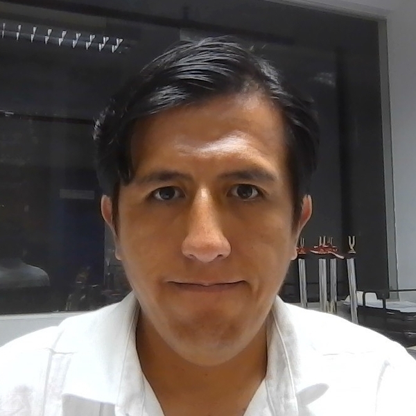 Luis - Profe de matemáticas - 7€/h