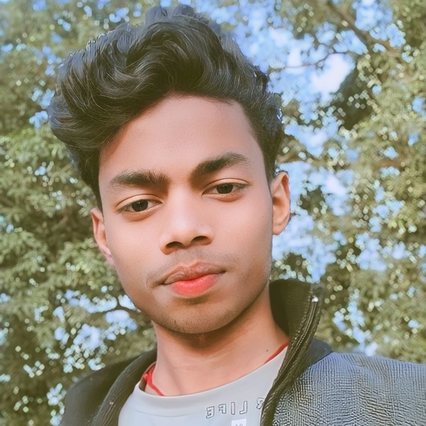 PRINCE - Hindi tutor - 4£/h