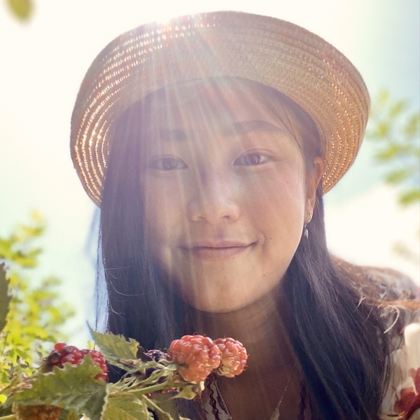 Suong - Mathematics tutor in Garland - 18$/h