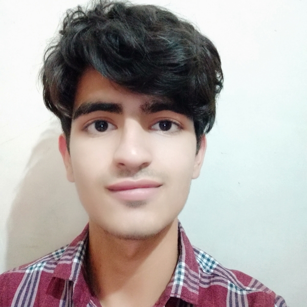 Ankit - Hindi tutor - 5£/h