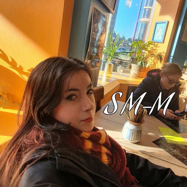 Sophie - Drawing tutor in Invercargill - $30/h