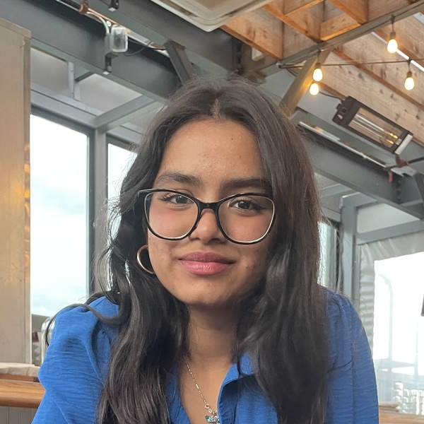 Nabeeha - Computer programming tutor - $24/h