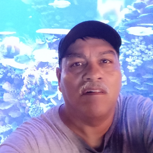 Francisco - Spanish tutor - 374$/h