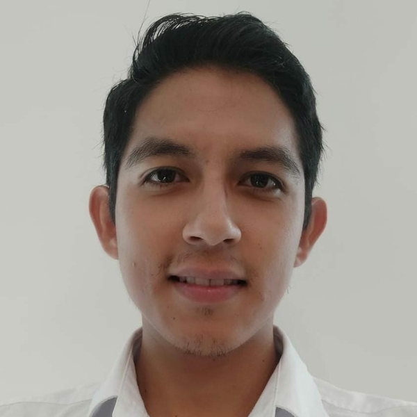 Victor Antonio - Profe de matemáticas - 5€/h