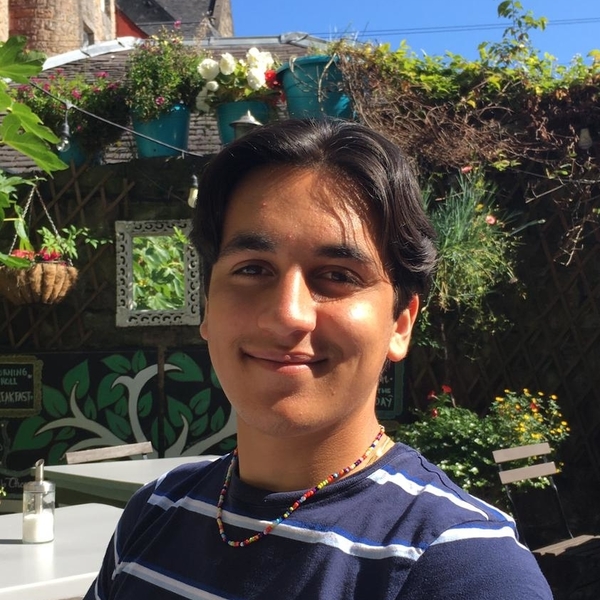 Ashwin - Maths tutor - 263$/h