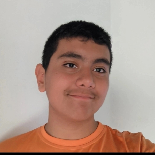 David Alejandro - Profe de inglés - S/45/h