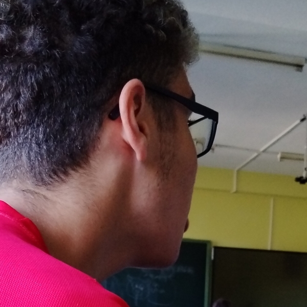 Julián - Profe de matemáticas en Móstoles - 5€/h