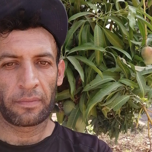 Gustavo - Profe de español - 10€/h