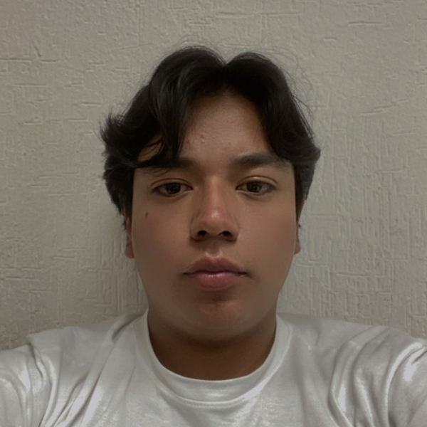 CHARLY - Profesor de matemática - $9410/h