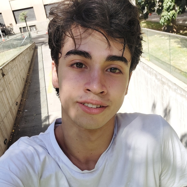 Maximiliano Gabriel - Profe de matemáticas - 10€/h