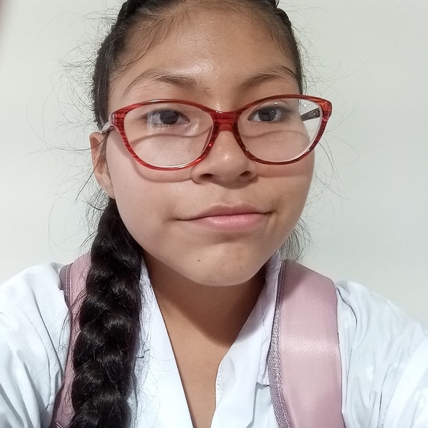 Linda Raquel - Profe de matemáticas - S/18/h