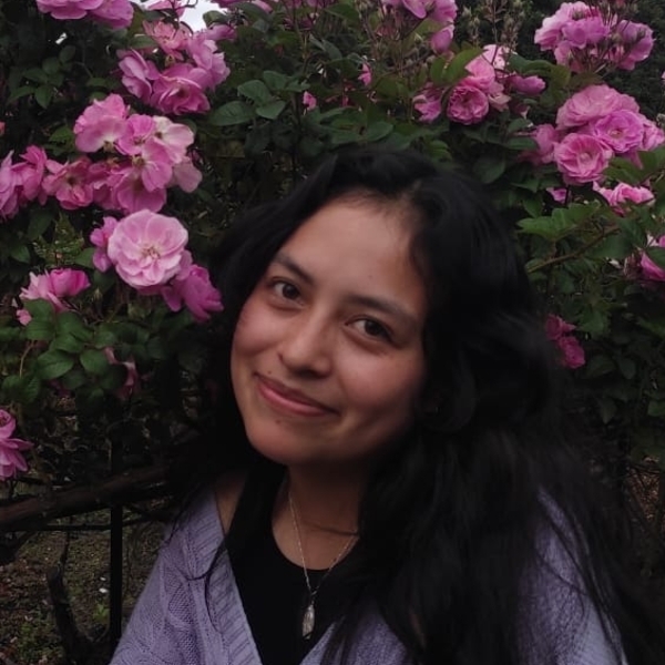 LEYDY JENYFER - Profe de matemáticas - 5€/h