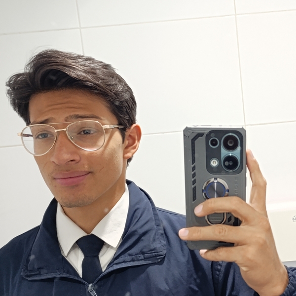 Luis - Profe de contabilidad - 6€/h