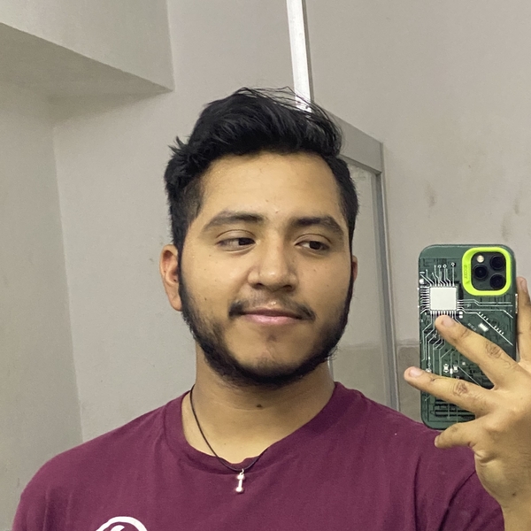 Luis - Profe de matemáticas - 7€/h