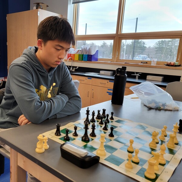 Mark - Chess tutor in Sharon - 22$/h - 1 reviews