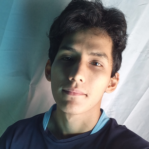 Patrick Bryhan - Profesor de apoyo escolar - $109/h