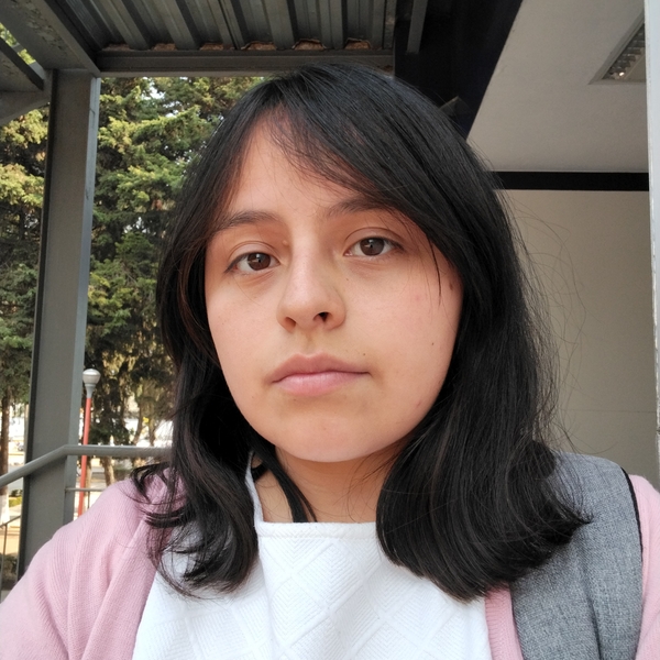 Sandra - Profe de matemáticas - 8€/h