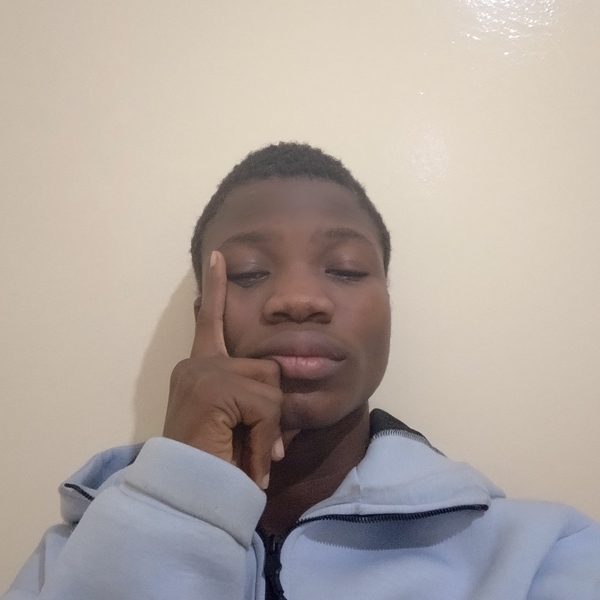 Eleil - Prof de maths - 13CHF/h