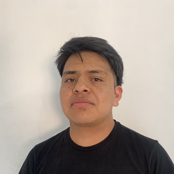 Armando - Profesor de matemática - $4223/h - 1 opiniones