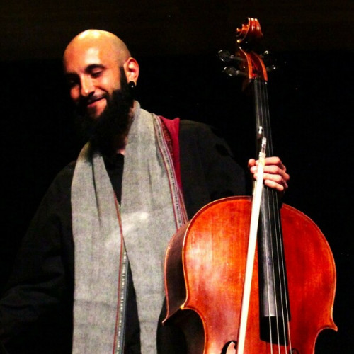 Daniel - Prof viola - 13€/h - 19 avaliações