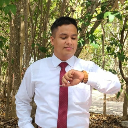 Javier Alberto - Profesor de matemáticas en Zimatlán de Álvarez - $100/h