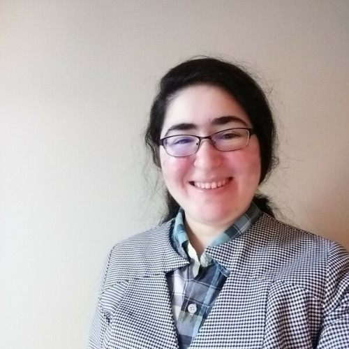 Dr Mary (Professional Expert Tutor) - Computing tutor - 66£/h - 97 reviews